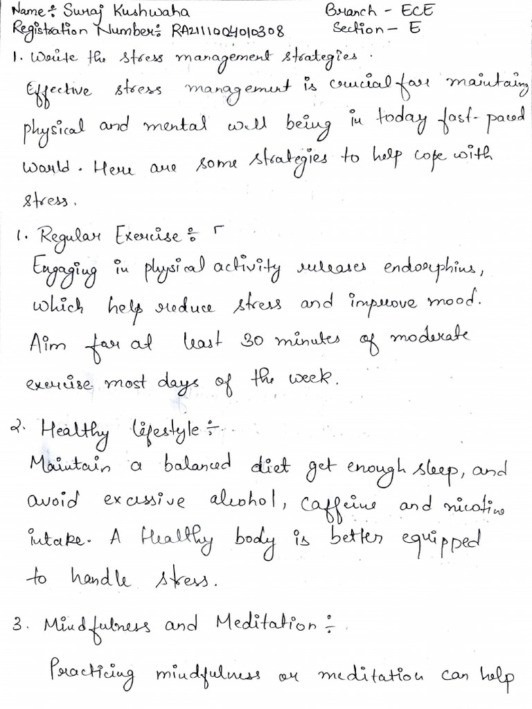 Stress Assignment _308 | PDF