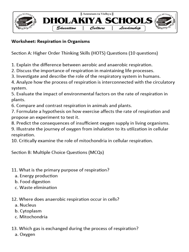 Respiration Worksheet | PDF | Cellular Respiration | Physiology