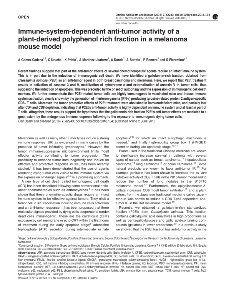 Melanoma Mouse Model C Spinosa | PDF | Apoptosis | Dendritic Cell