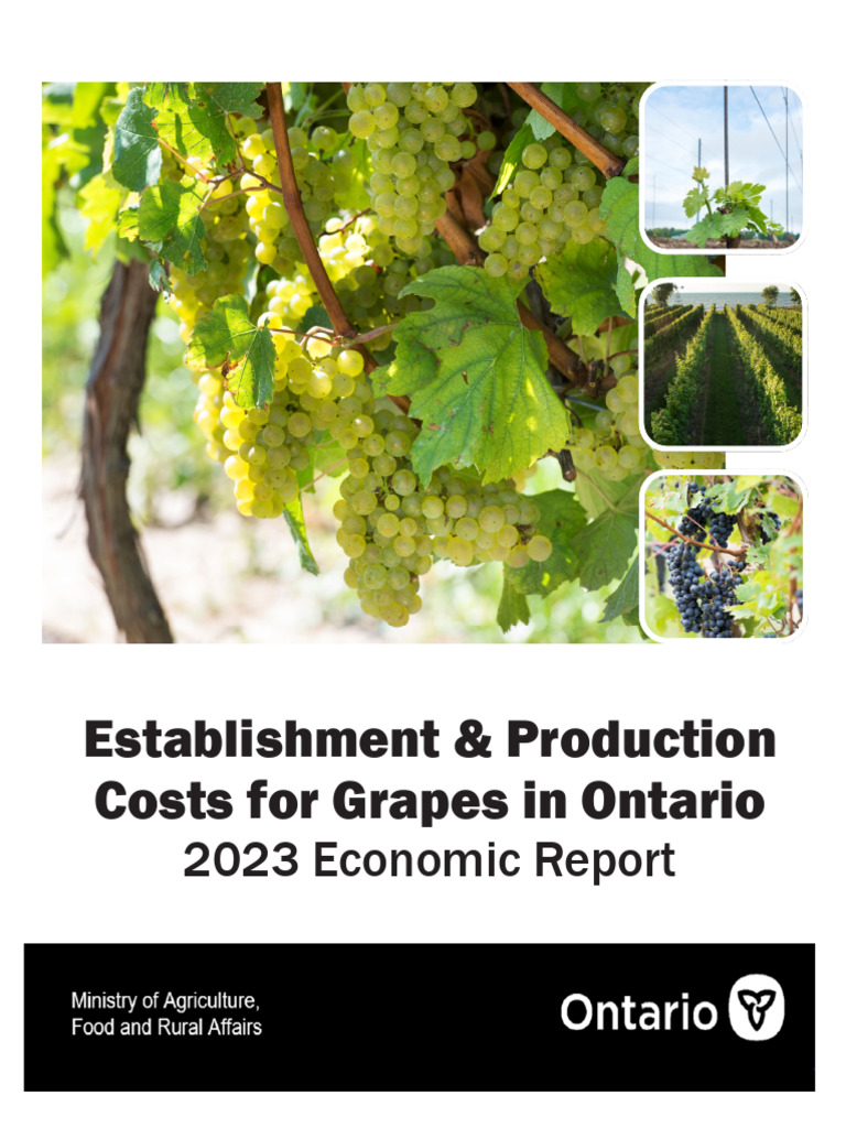 Grape Production Costs in Ontario 2023 | PDF | Vineyard | Agricultural ...