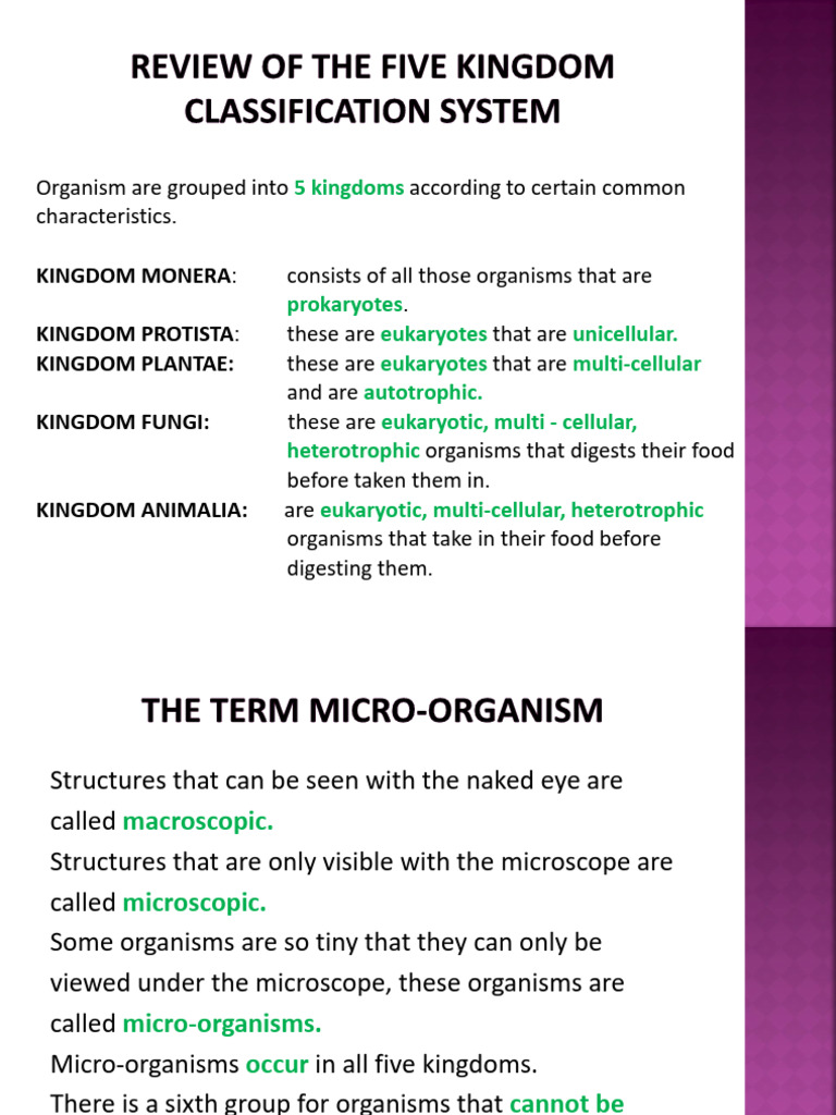PP1 Diversity Change and Continuity Micro Organisms | PDF | Bacteria ...