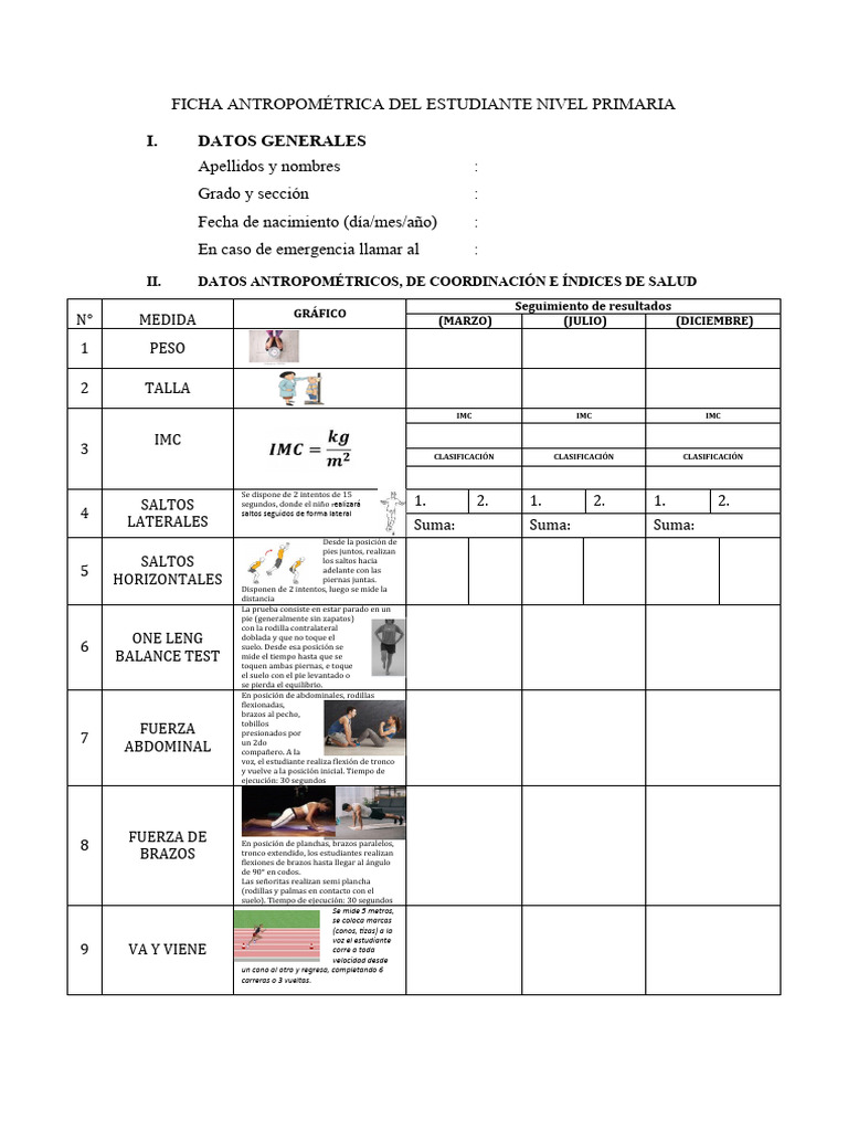 Ficha Antropométrica Del Estudiante Nivel Primaria | PDF