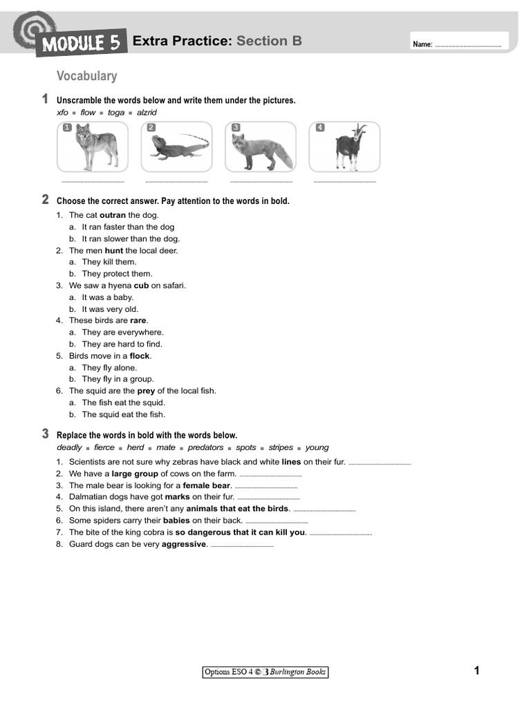 EXTRA PRACTICE B | Download Free PDF | Sentence (Linguistics) | Predation