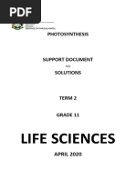 GRADE 7 BIOLOGY 2023-24 TEXTBOOK Edited | PDF | Photosynthesis | Plants
