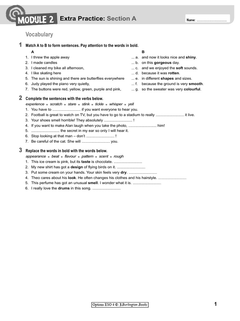 01options4 M2 ExtraPractice SectionA | PDF | Grammar | Syntax