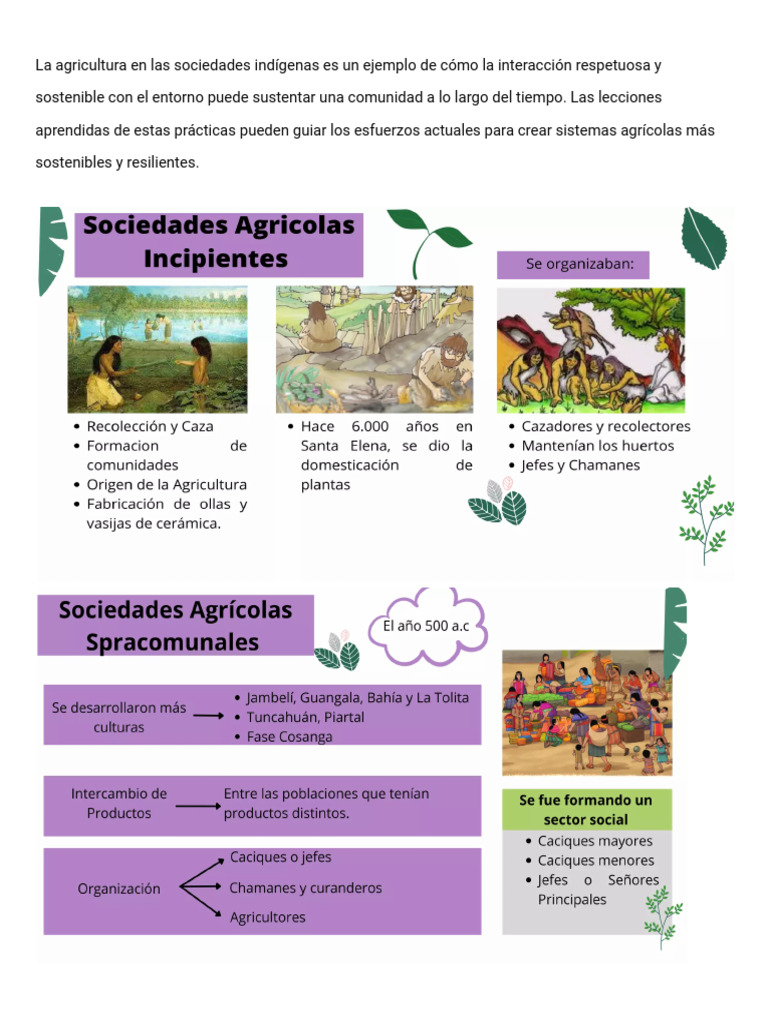 La agricultura en las sociedades indígenas es un ejemplo de cómo la ...