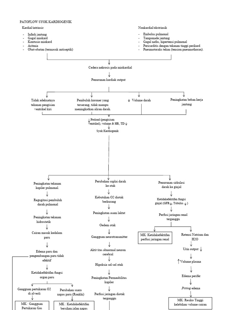 Patoflow Syok Kardiogenik | PDF