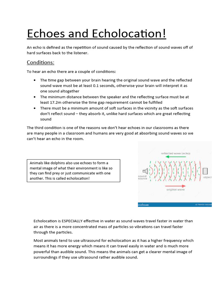 Echoes and Echolocation | PDF
