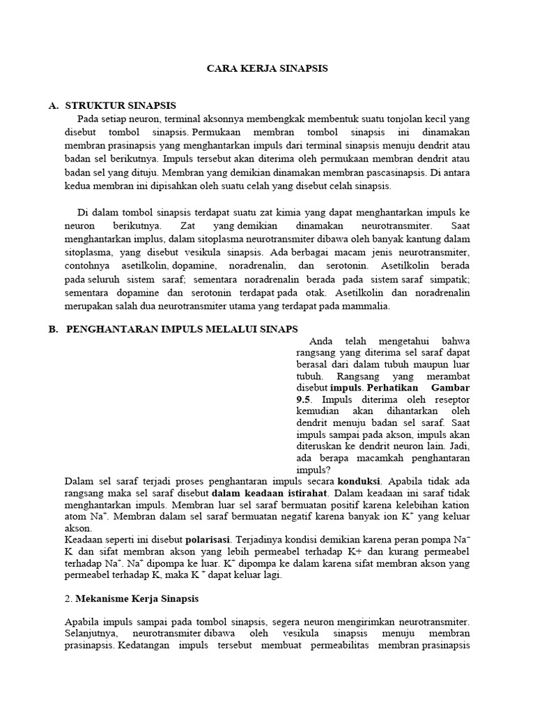 Cara Kerja Sinapsis Pdf Pengembangan Diri