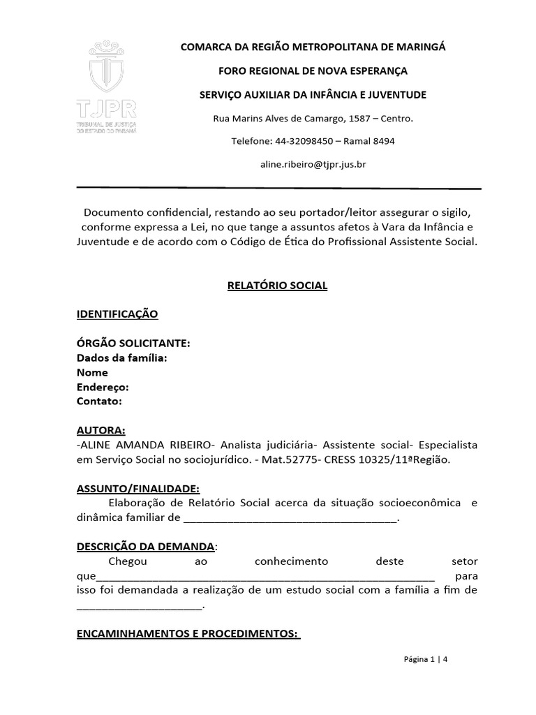 Modelo de Relatório Social | PDF | Sociologia | Trabalho social