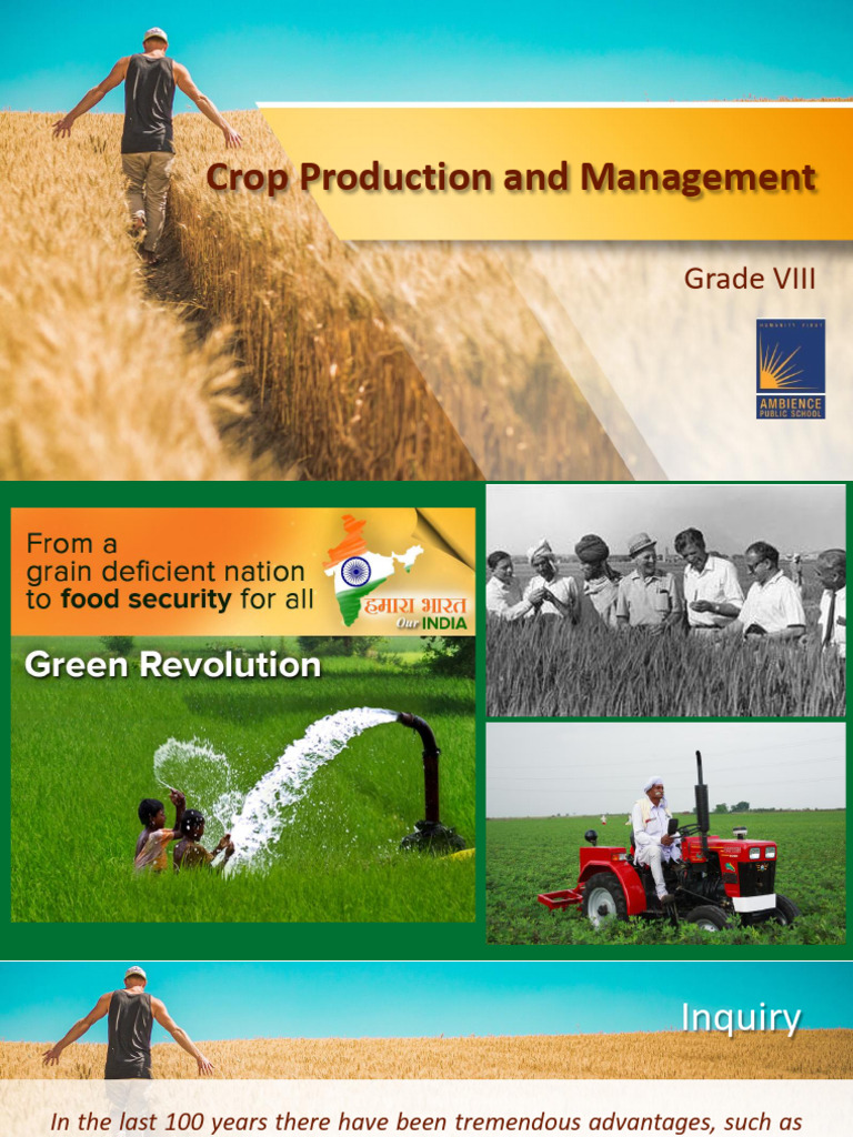 Crop Production Techniques in India | PDF | Fertilizer | Soil