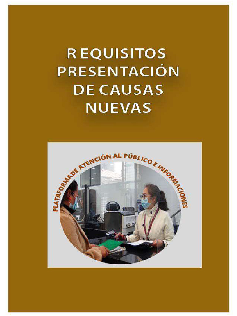 Causas Nuevas | PDF