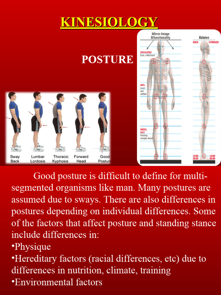 Posture - Kinesiology | PDF | Skeleton | Vertebral Column