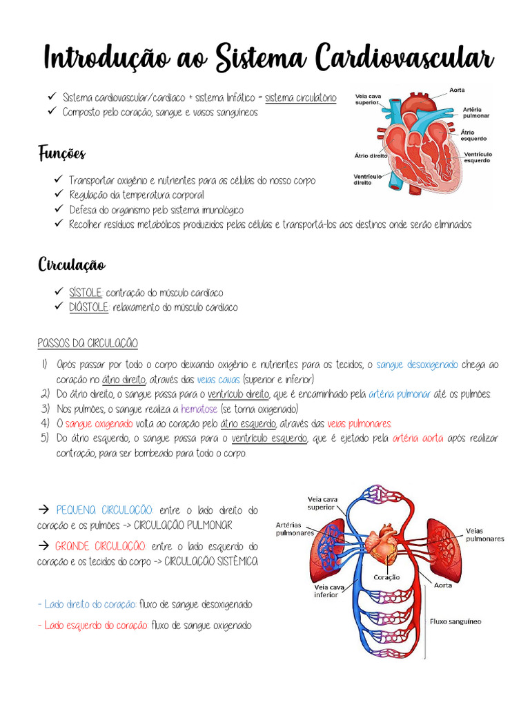 2 - Introdução Ao Sistema Cardiovascular | PDF | Sistema circulatório ...