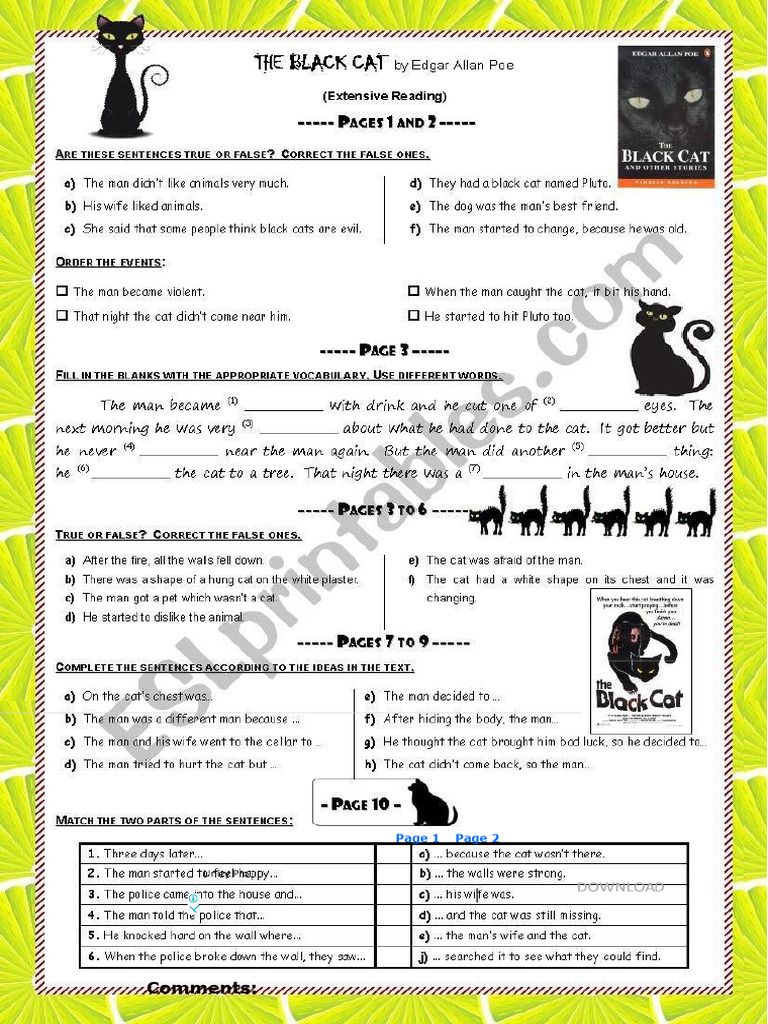 The Black Cat Reading Activities | PDF