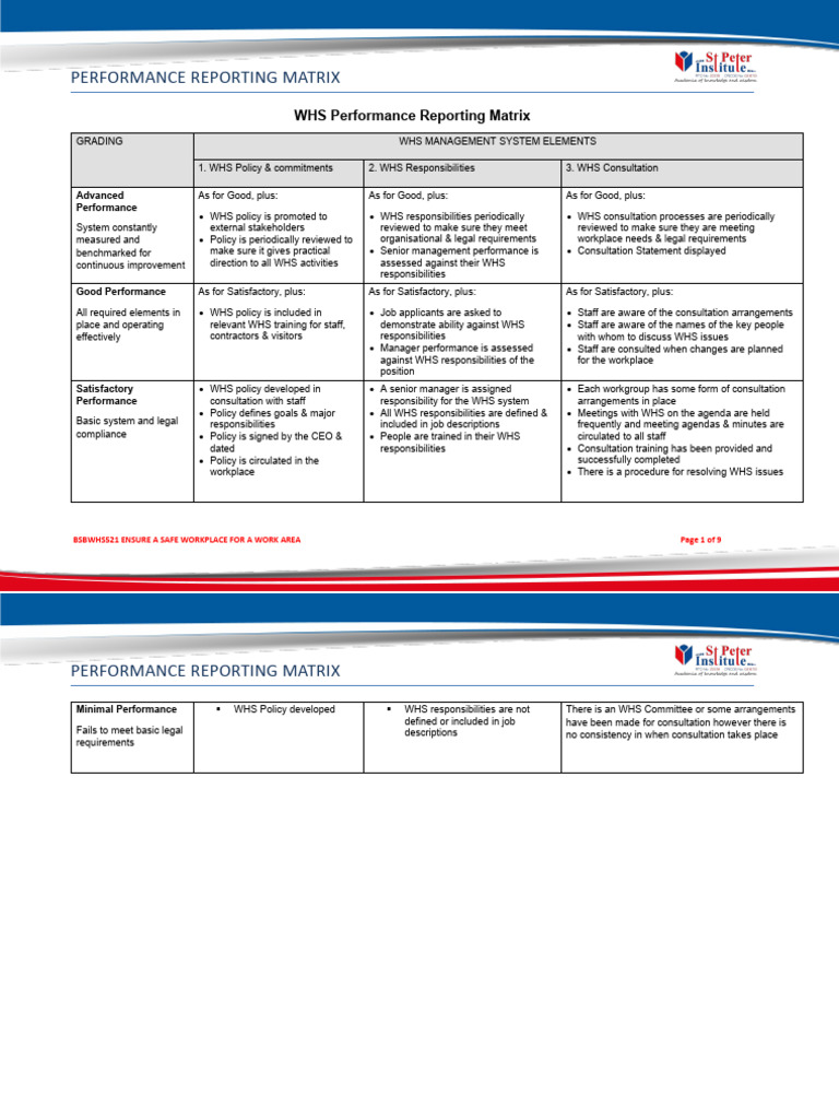 WHS Performance Reporting Matrix Guide | PDF | Audit | Risk Management