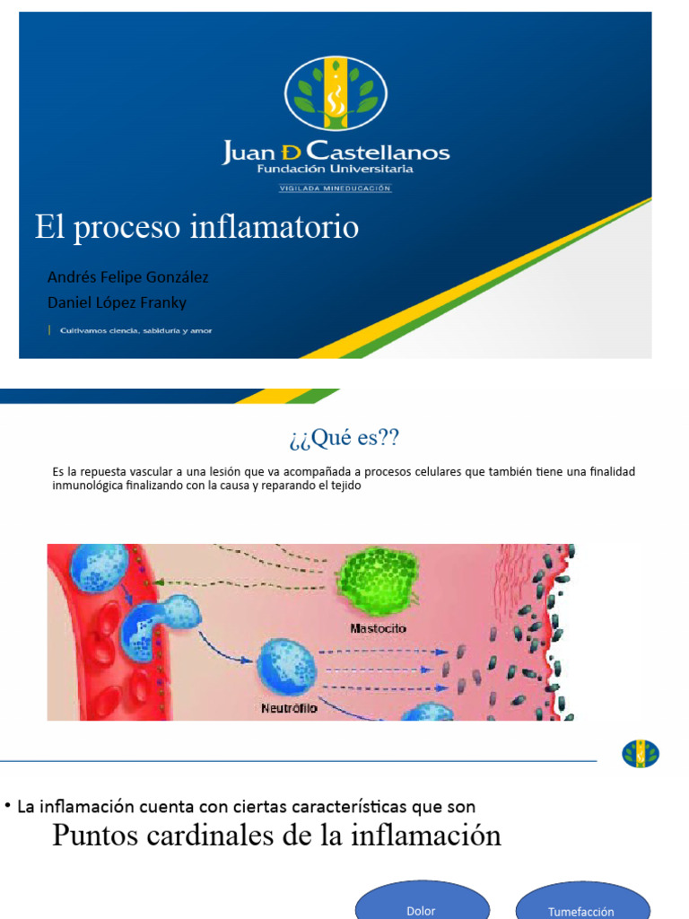 El Proceso Inflamatorio | PDF | Inflamación | Inmunología
