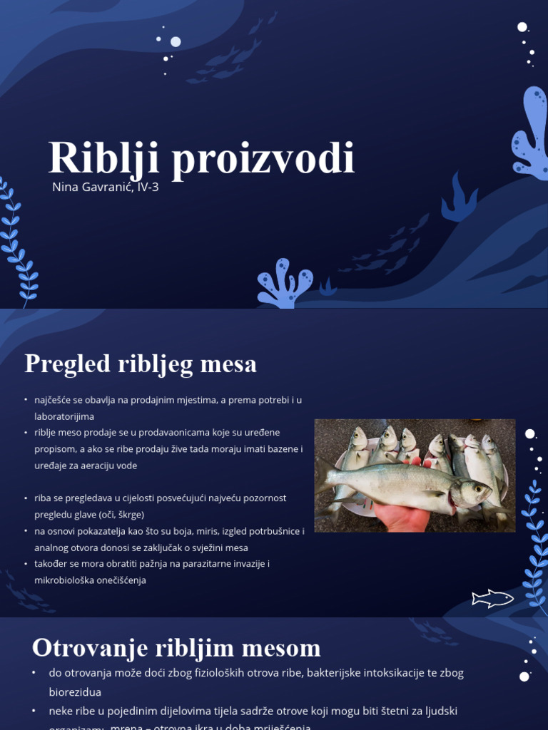 Ribe | PDF