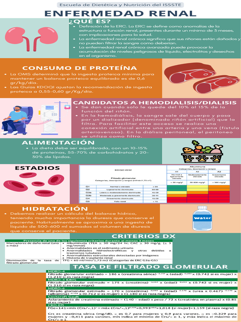 Enfermedad Renal | PDF