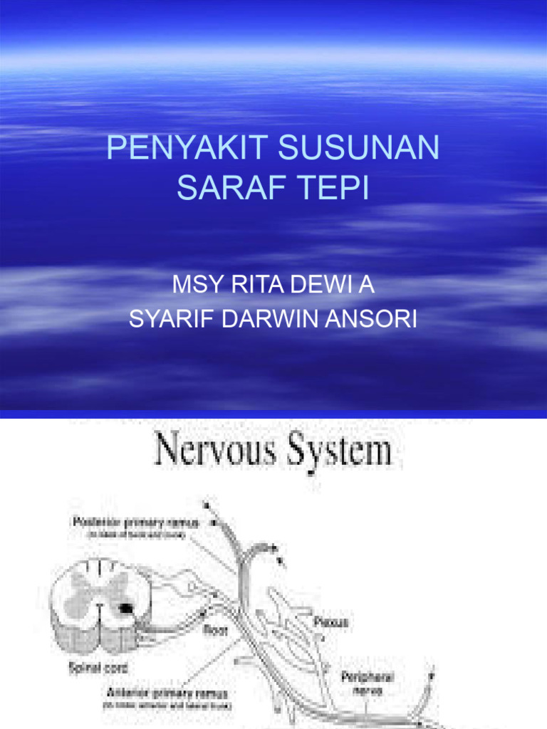 Penyakit Saraf Tepi dan Penanganannya | PDF | Epidemiology | Autoimmune ...