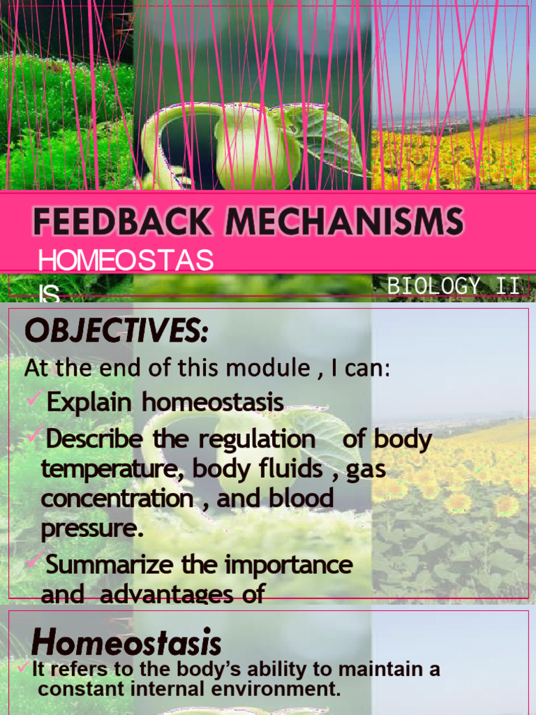 Feedback Mechanisms 2 | PDF | Homeostasis | Stimulus (Physiology)