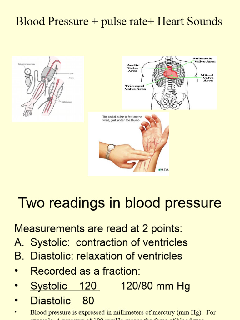 Blood Pressure and Pulse. | PDF | Blood Pressure | Diastole