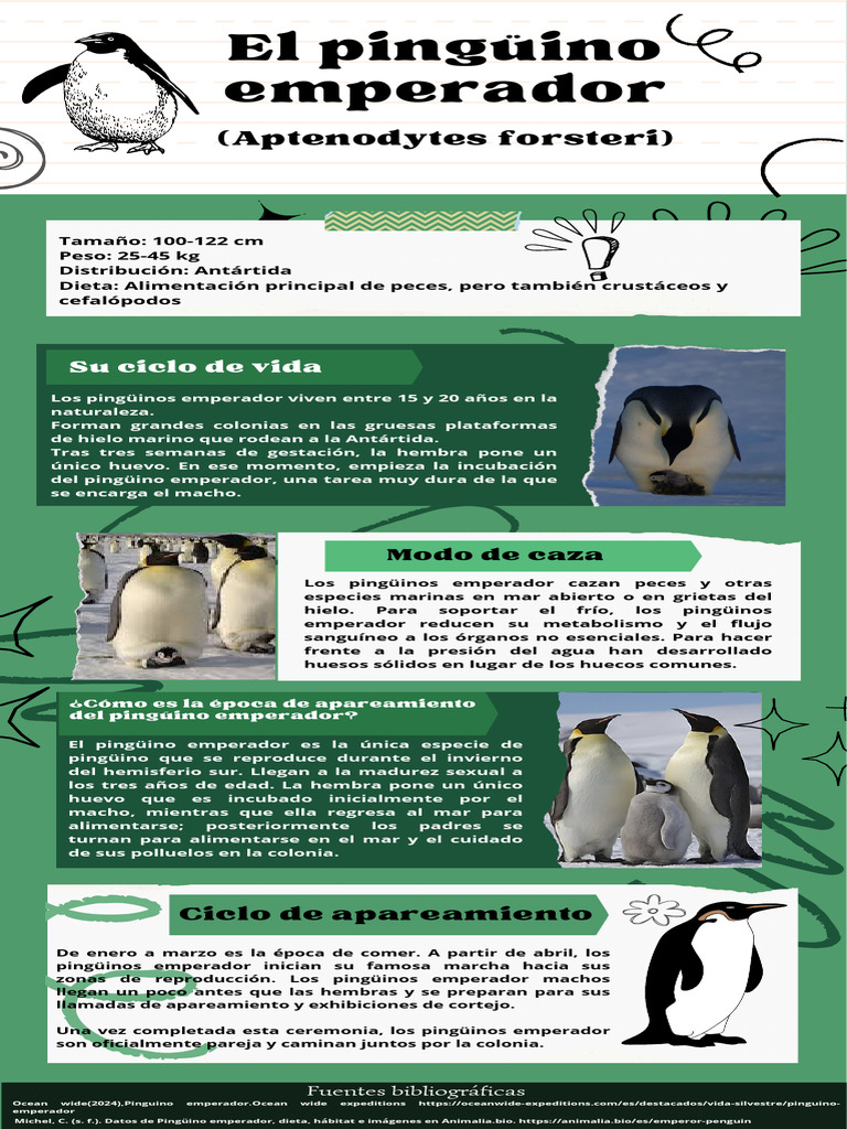 Te Amo Axel - 20240228 - 192351 - 0000 | PDF | Pingüino | Zoología