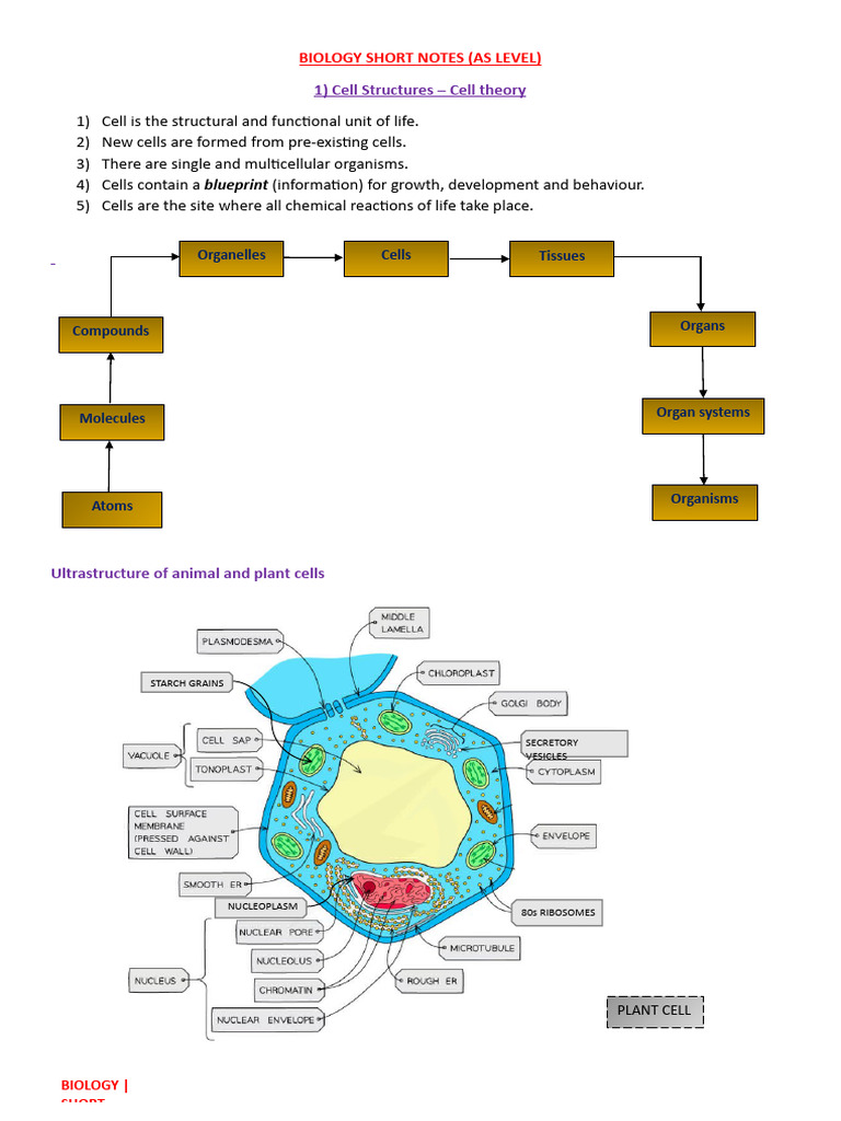 Biology Short Notes | Download Free PDF | Cell (Biology) | Endoplasmic ...