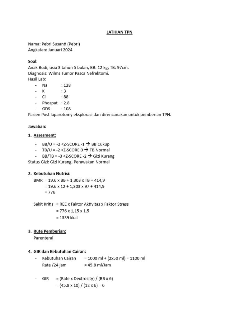 LATIHAN TPN - Pebri Susanti | PDF