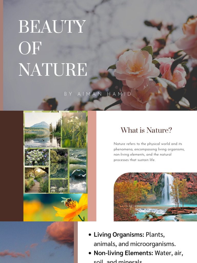 NATURE | PDF | Ecosystem | Nature