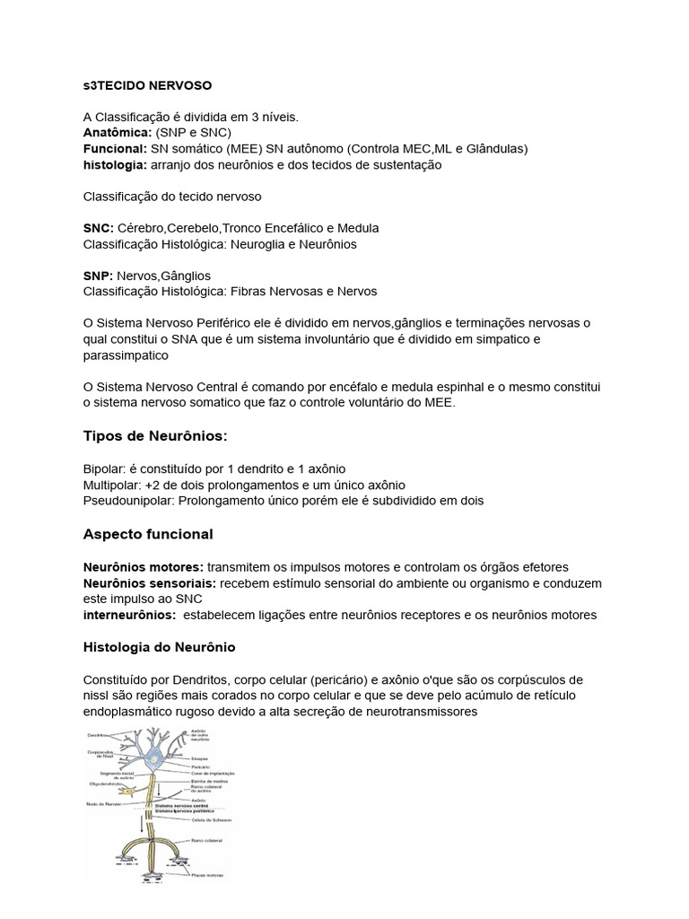 Estudo Biocel Completo | PDF | Músculo | Sistema circulatório