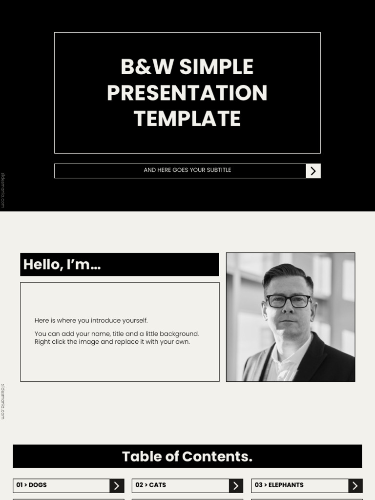 Simple B&W · SlidesMania | PDF