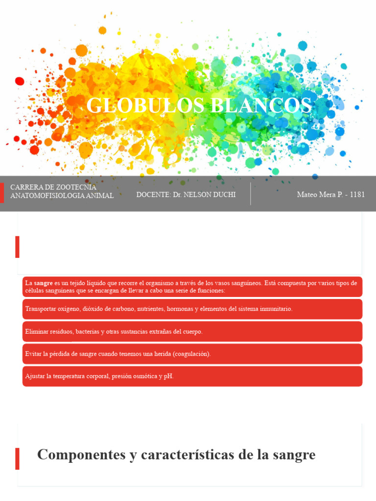 Globulos Blancos | PDF | Sangre | Leucocito
