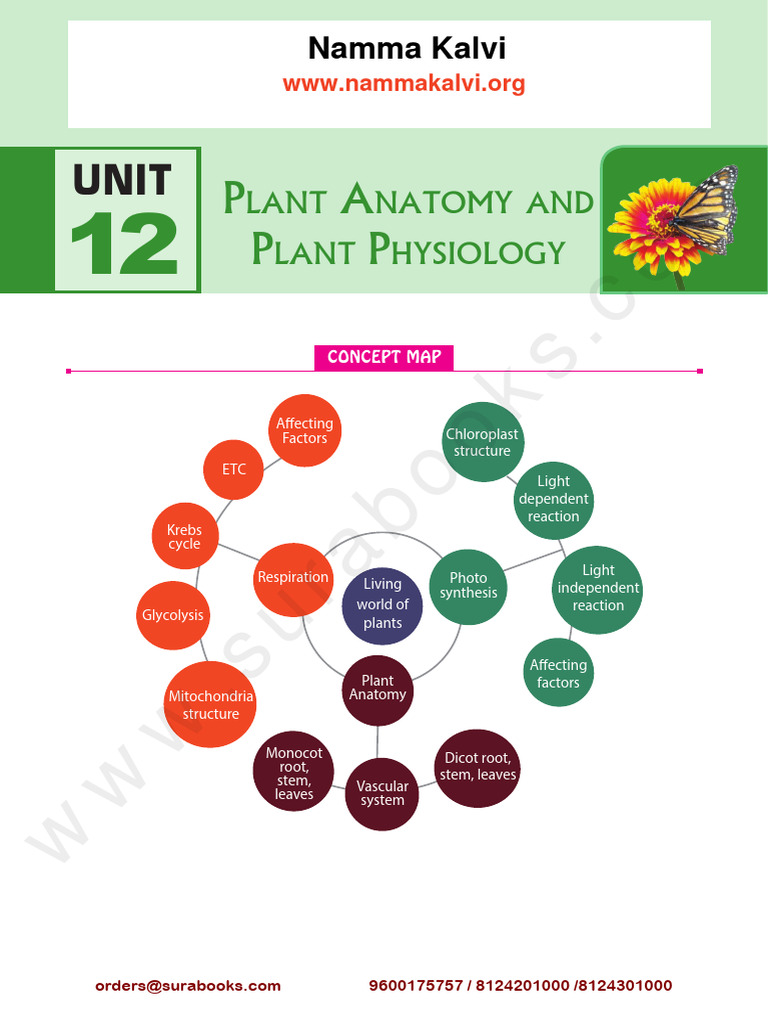 Plant Anatomy and Physiology Unit 12 | PDF | Plant Stem | Chloroplast