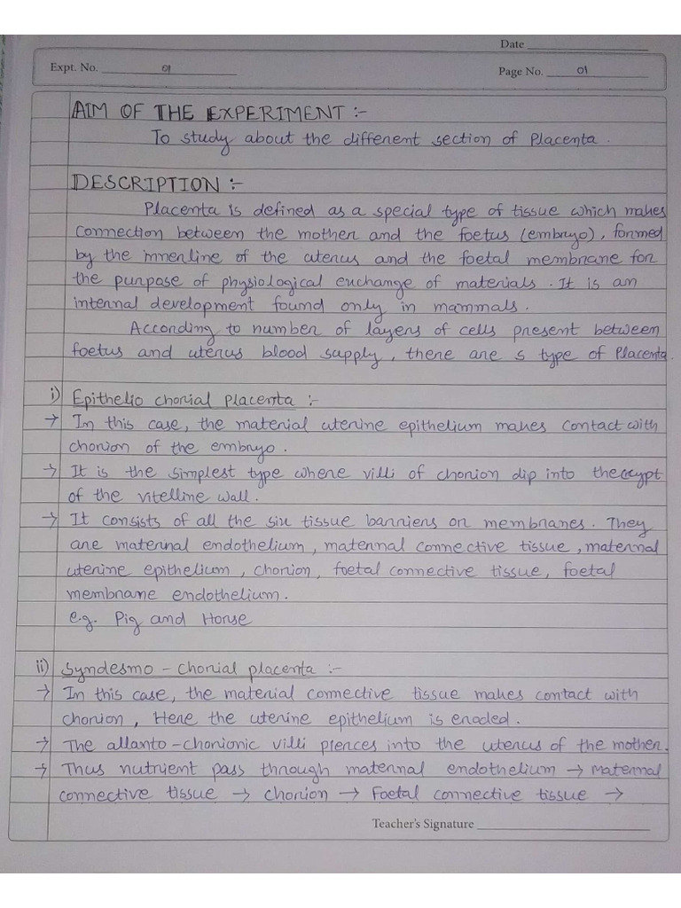 Cc-Xiii Practical Record..on Research Fossil Etc. | PDF Cc-Xiii Practical Record..on Research Fossil Etc. | PDF