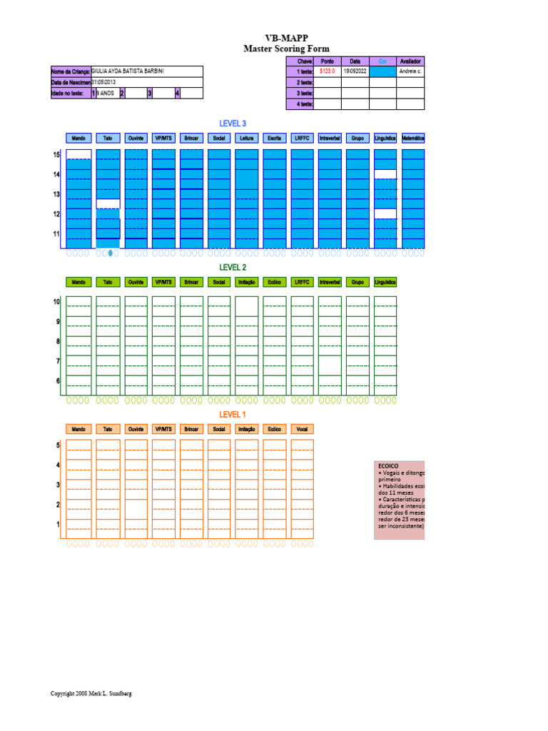 AVALIAÇÃO VB MAPP Matrix Completo | PDF | Conceitos psicológicos ...