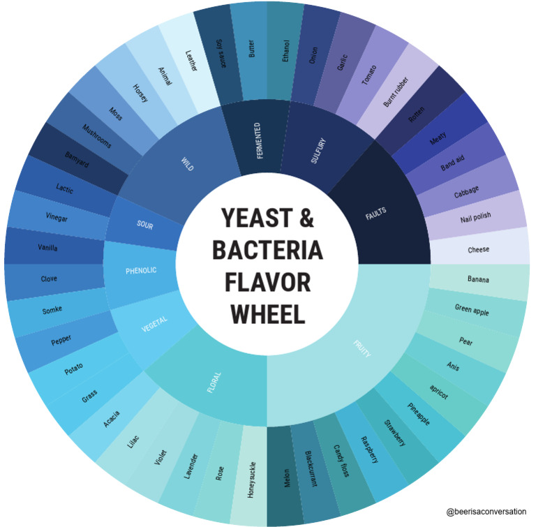 Yeast-flavor-wheel-sgn | Download Free PDF | Food Processing | Food ...