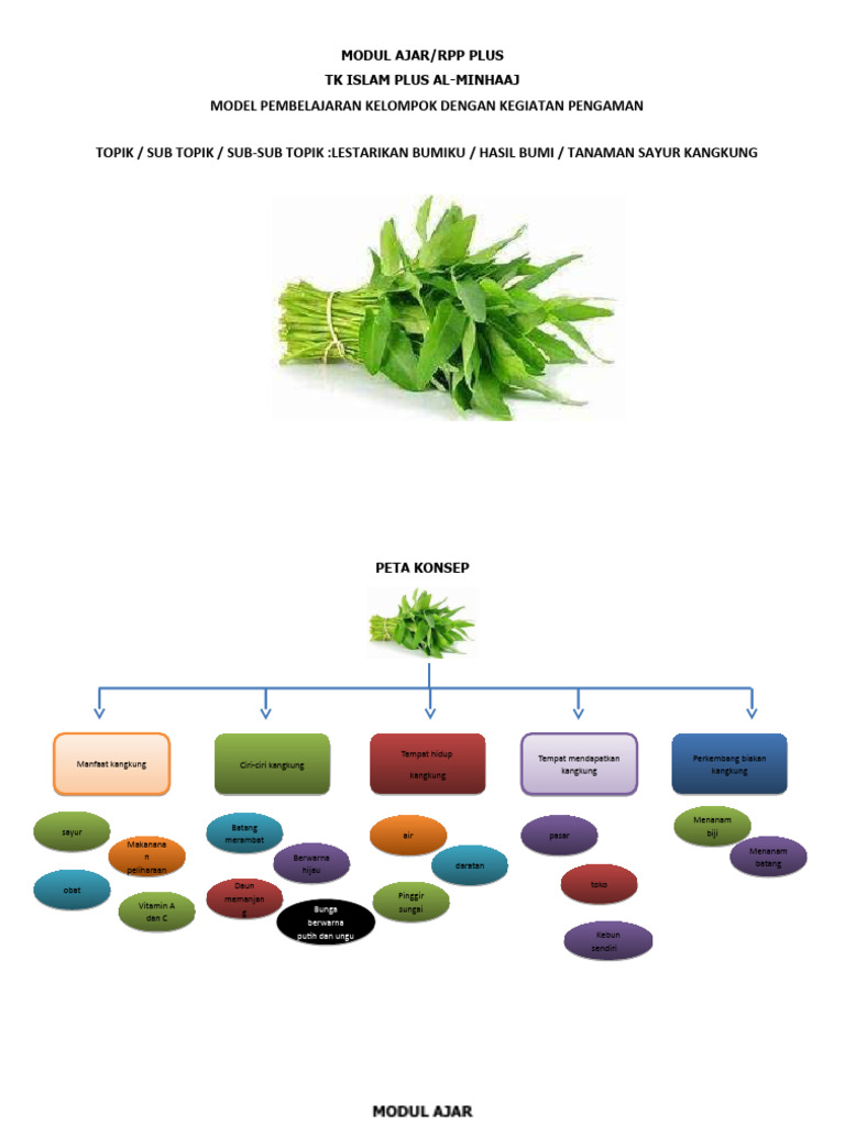 Modul Ajar Tema Sayuran Kangkung TK B | PDF
