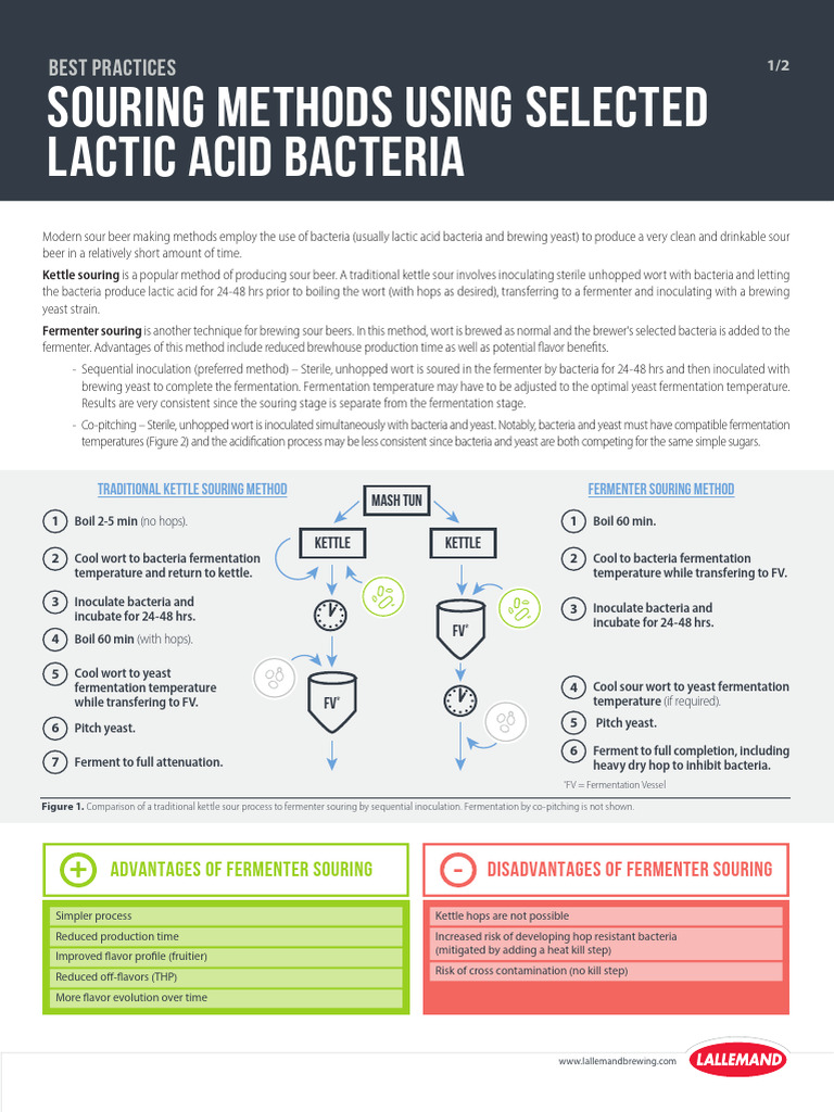 LAL Bestpractices Bacteria Souring Methods A4 10 | PDF | Brewing | Beer