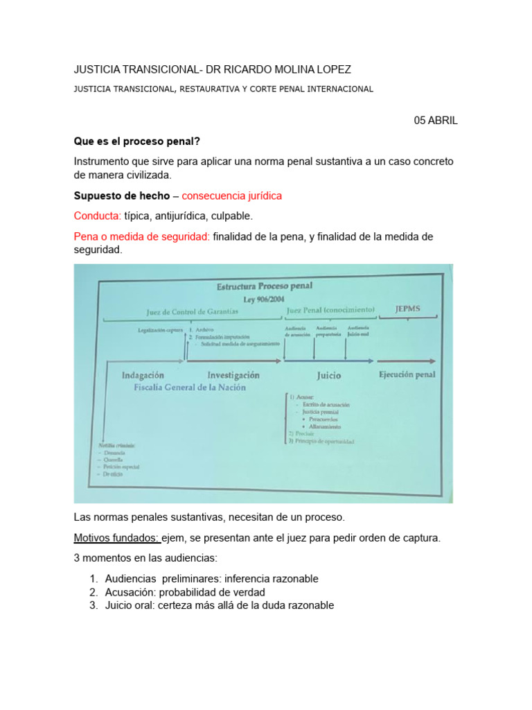 Justicia Transicional | PDF | Corte Criminal Internacional | Perdón