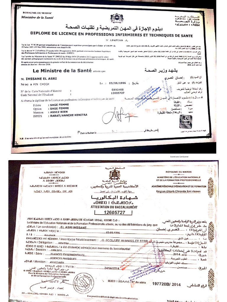 Diplôme Et Bac | PDF