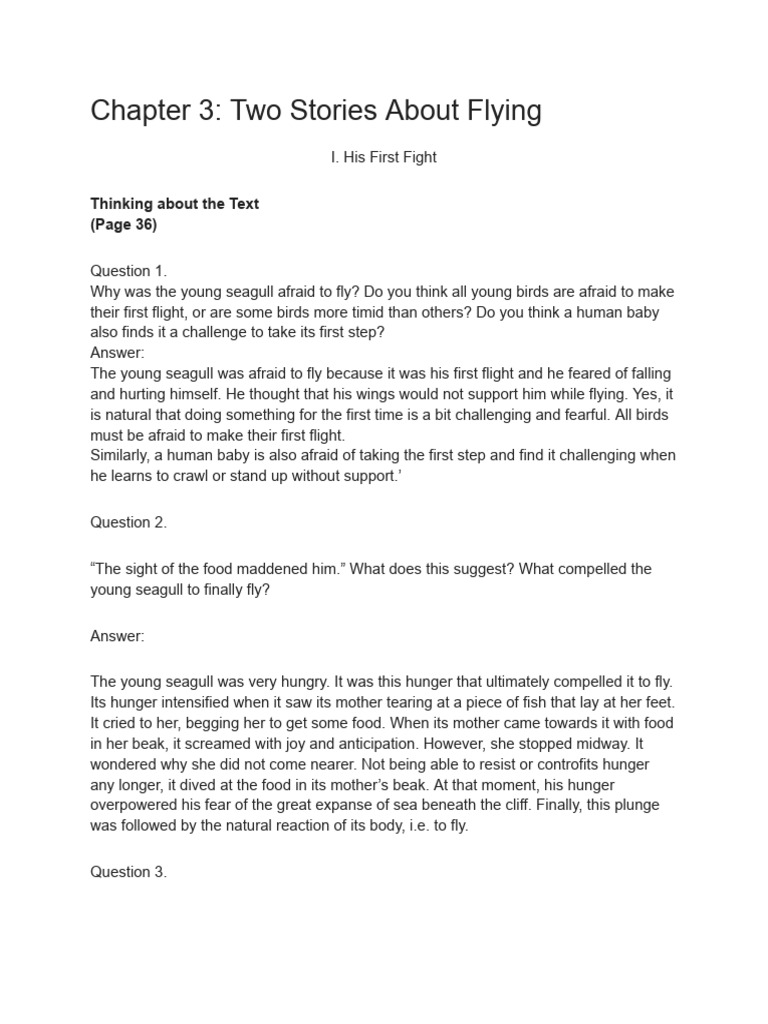 Two Stories About Flying | PDF