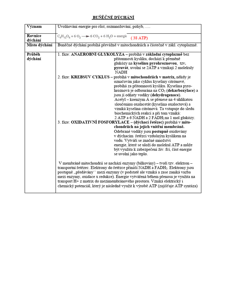 Buå Ä Ä Nã Dã Chã Nã | PDF