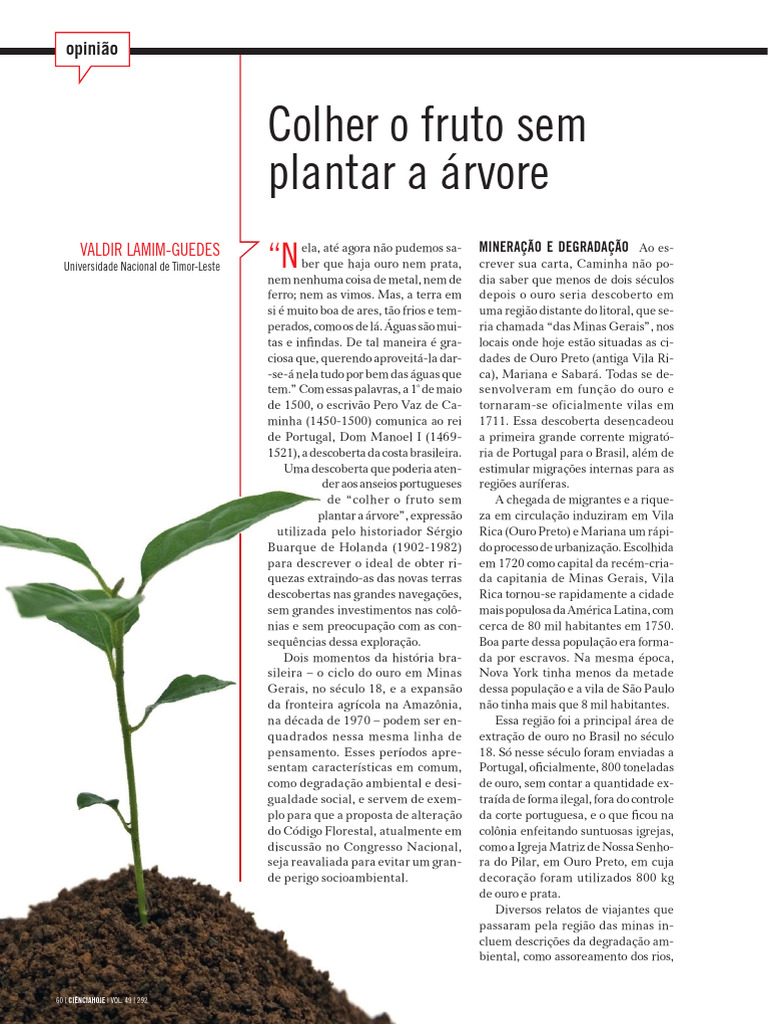 Degradação e Desigualdade no Brasil | PDF | Floresta Amazônica | Brasil
