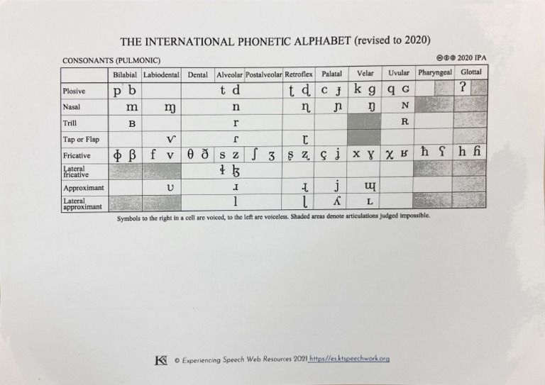 THE INTERNATIONAL PHONETIC ALPHABET (Revised To 2020) | PDF