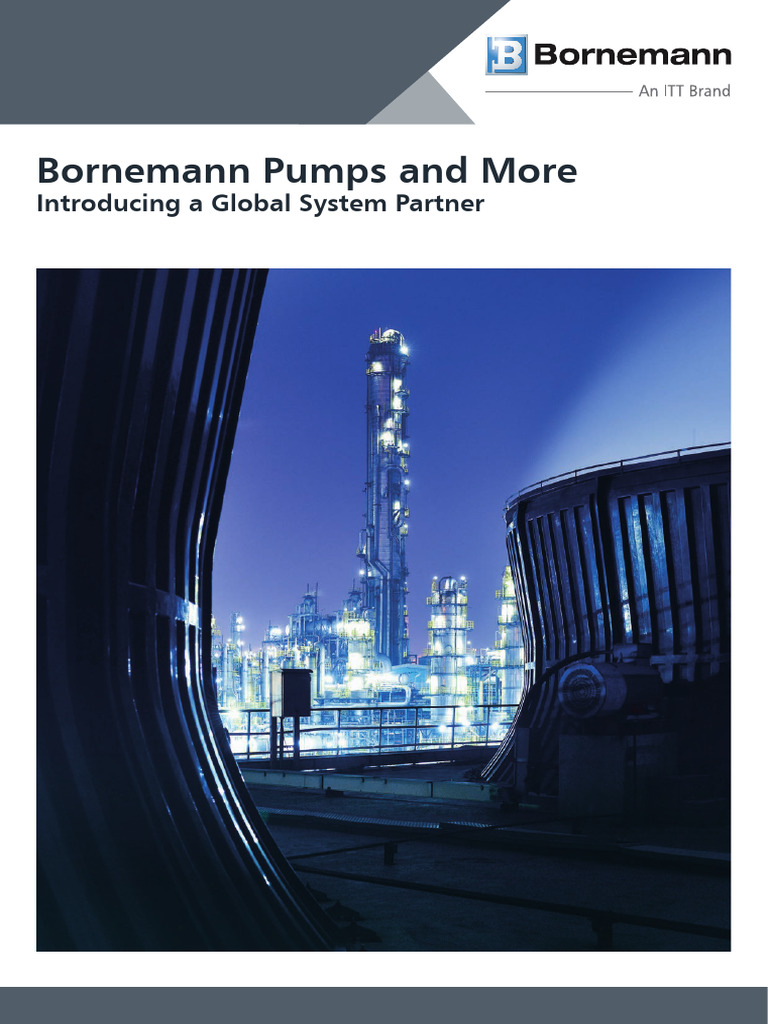 Bornemann-en | PDF | Pump | Petroleum