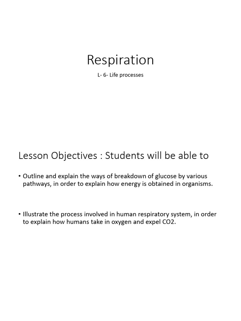 Life Procesess - Respiratory System PDF | PDF | Lung | Respiratory System