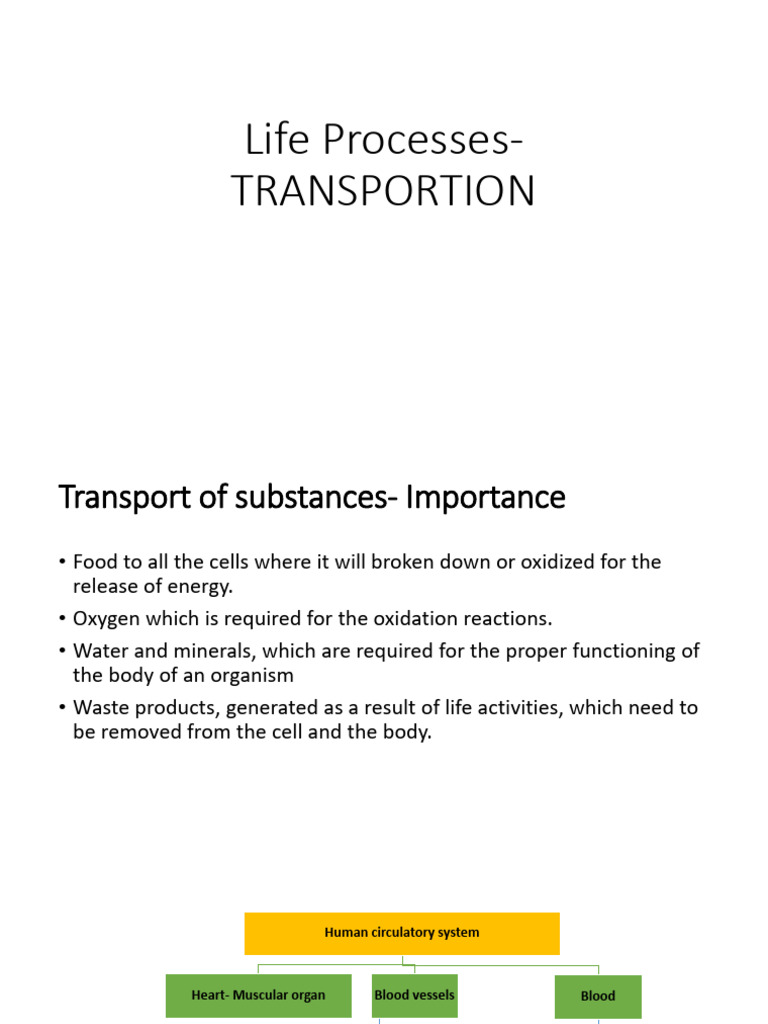 Life Processes - Transportation - Human Circulatory System PDF | PDF ...