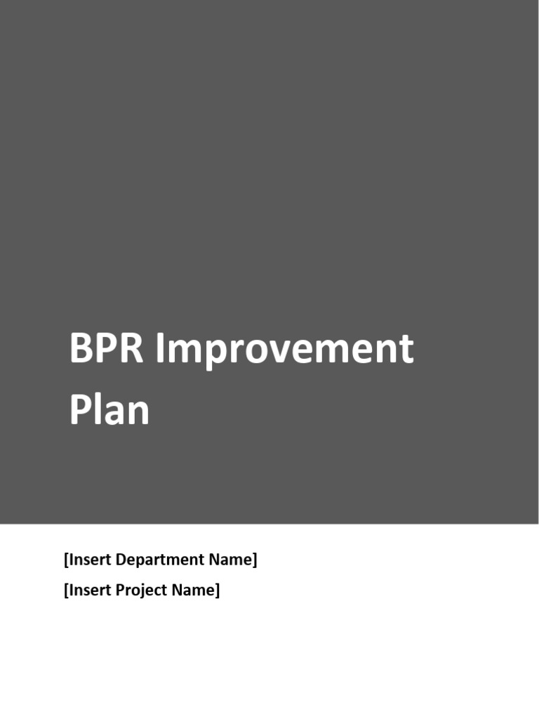 BPR Improvement Plan Template With Instructions | PDF | Business ...