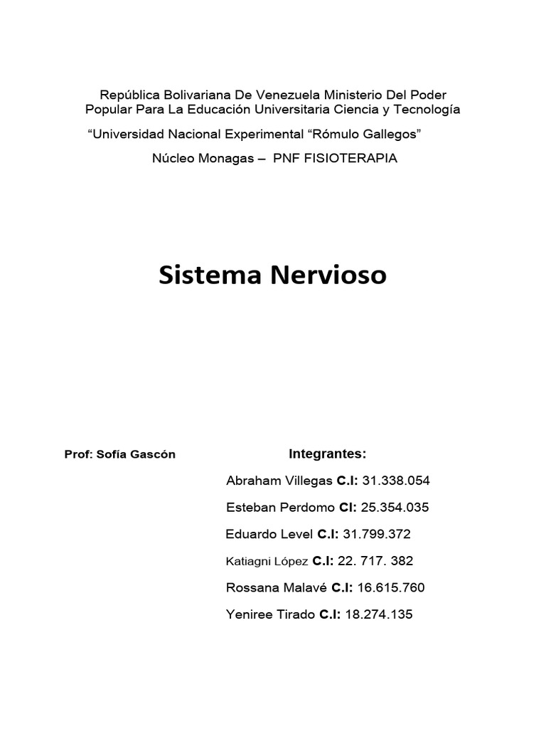 Sistema Nervioso III | PDF | Médula espinal | Sistema nervioso central